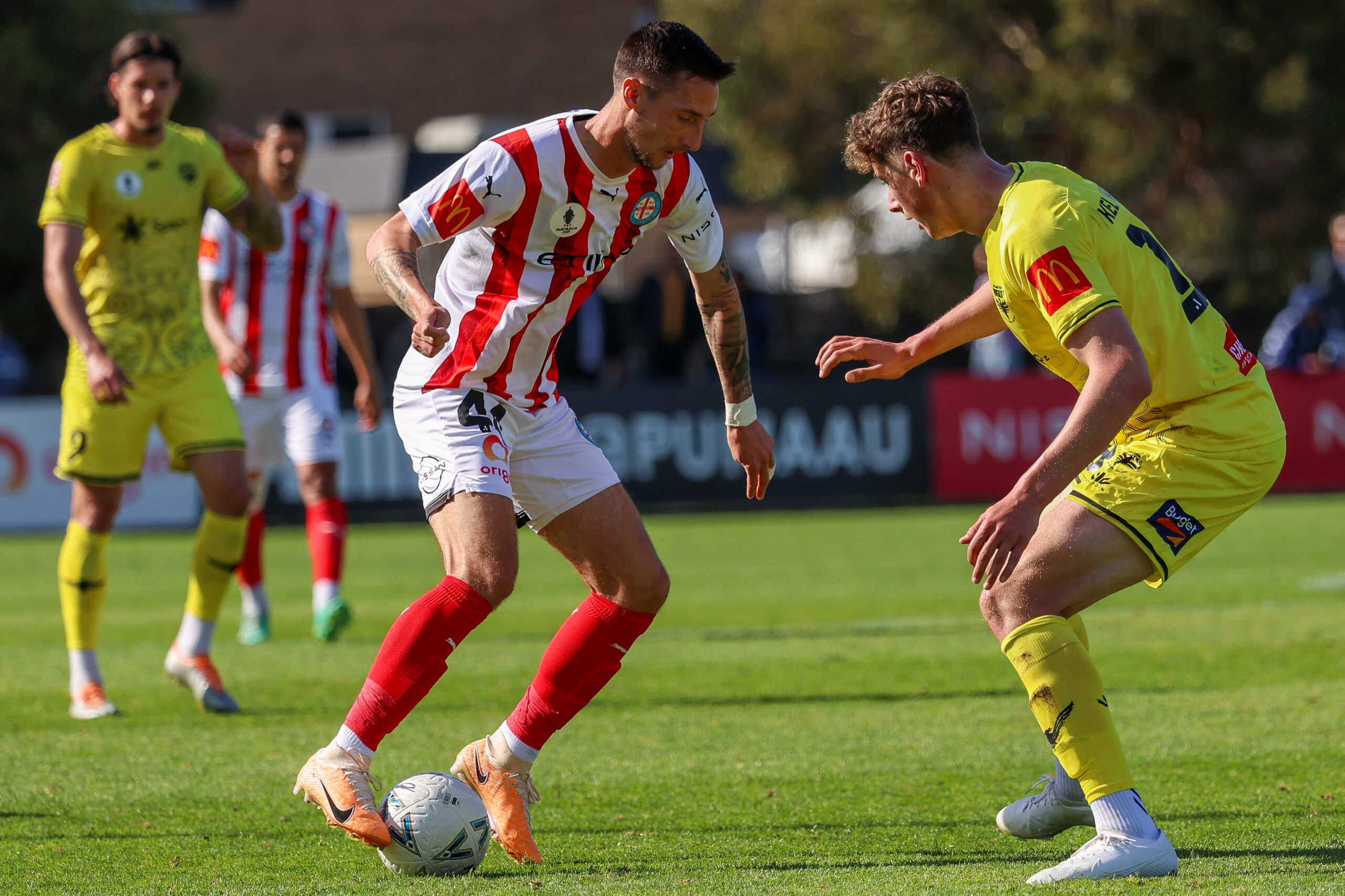 Talking points preview: Wellington vs City - Talking City